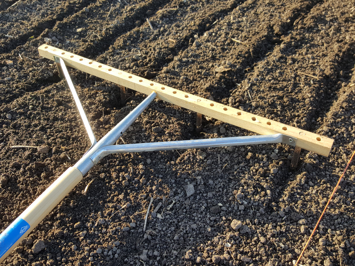 Progression of Planting the Spring Grains (2021) – Great Lakes Staple Seeds