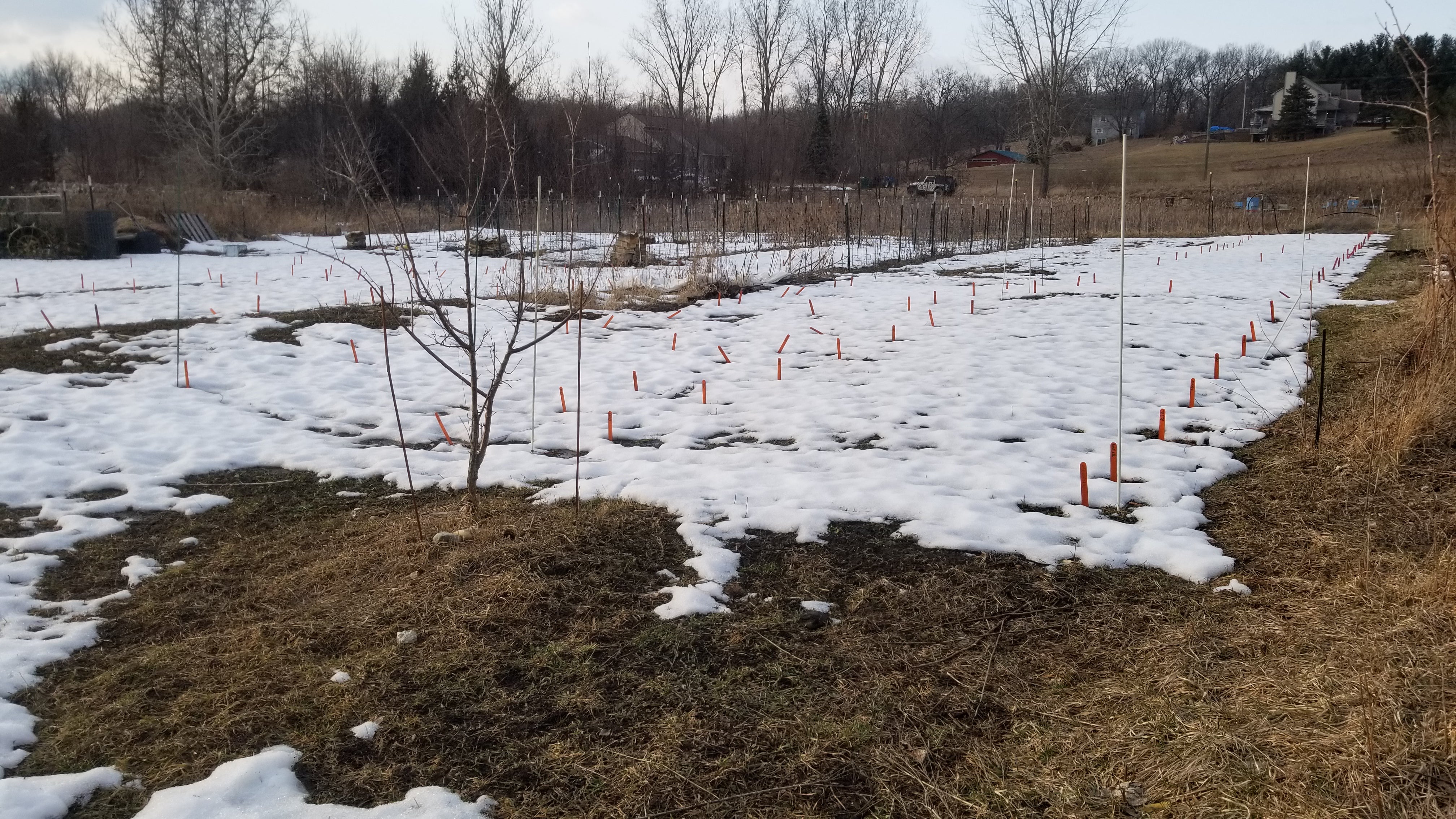 Fall Planted Grains – Great Lakes Staple Seeds
