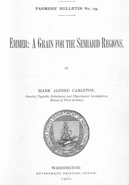 Wheat (1901) Emmer: A Grain for the Semiarid Regions – Great Lakes ...