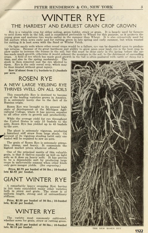 Rosen Rye – Great Lakes Staple Seeds