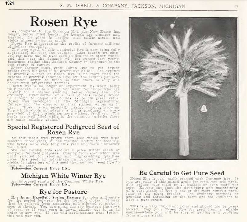 Rosen Rye – Great Lakes Staple Seeds