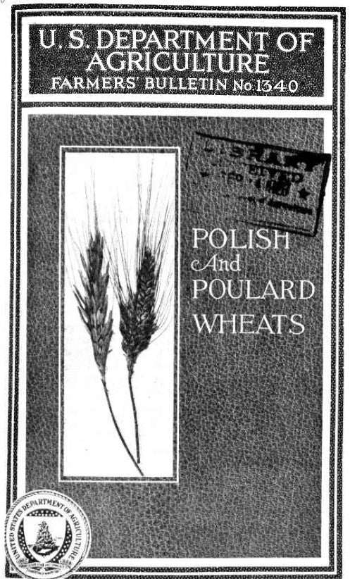 Wheat (1923) Polish and Poulard Wheats – Great Lakes Staple Seeds