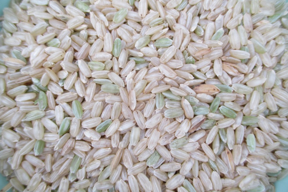 Krme Rice – Great Lakes Staple Seeds