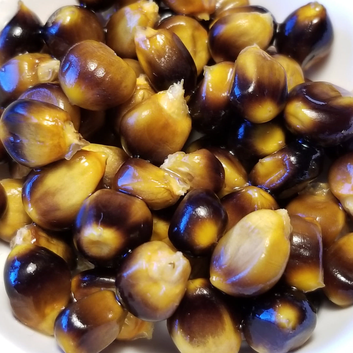 Nixtamalization - Homemade Masa – Great Lakes Staple Seeds