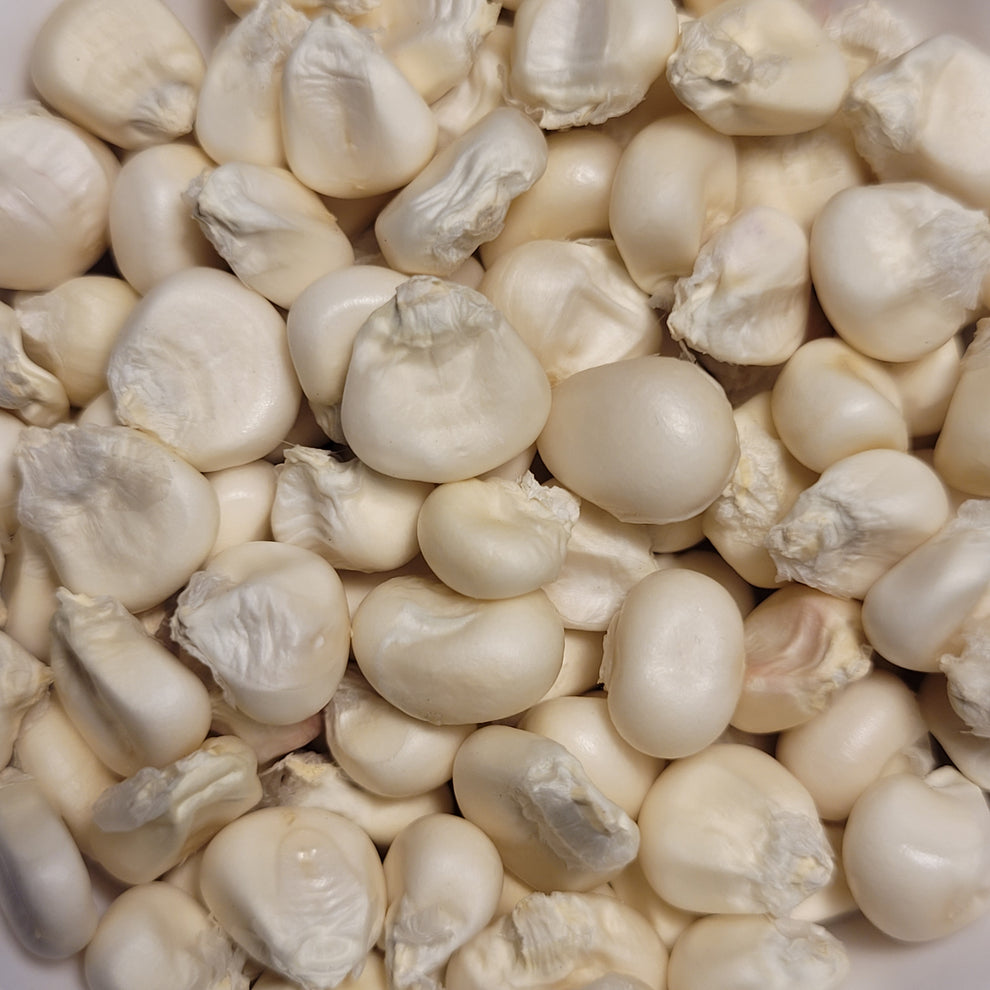 White Parching Corn – Great Lakes Staple Seeds